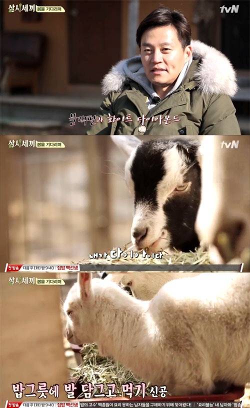 삼시세끼 염소 잭슨2세에 펄and다이아 럭셔리 작명 센스