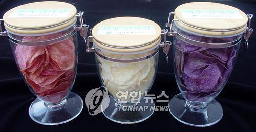 감자도 컬러시대