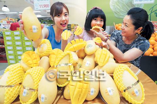 해외서 직송한 신선한 망고 맛보세요