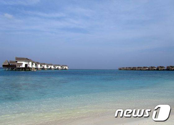 허니문 천국 몰디브 정정불안국가 비상사태 선포