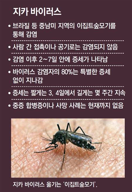 지카 바이러스 공포 확산대한항공 발생국행 항공권 환불수수료 면제