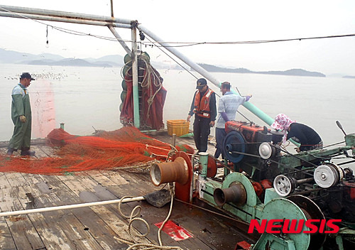 목포해경 실뱀장어 불법조업 31건 적발