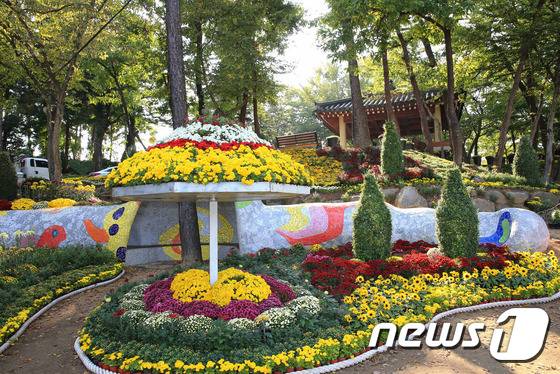 가을 낭만 고조화순군 국화 축제 준비 착착