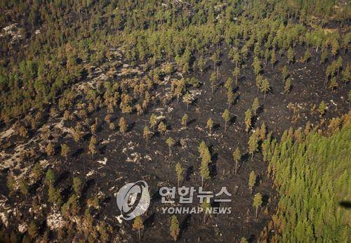 NORWAY FOREST FIRES