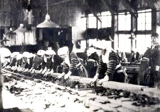 Japan Drafted 9 Girls as Young as 8 Years Old: Average Age of Laborers ...