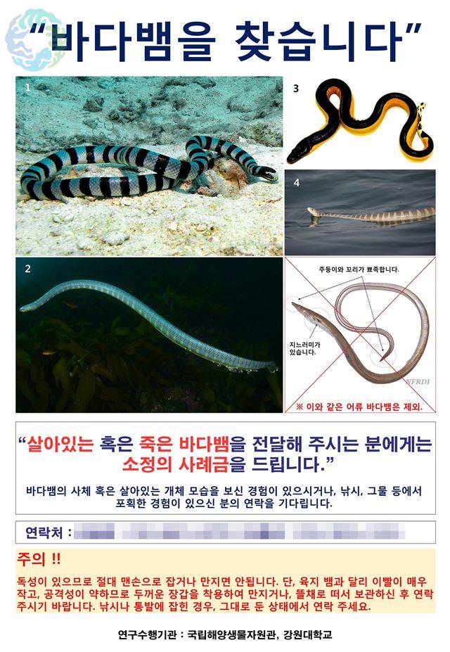 톡톡talk 바다뱀 100만원에 현상수배된 사연은