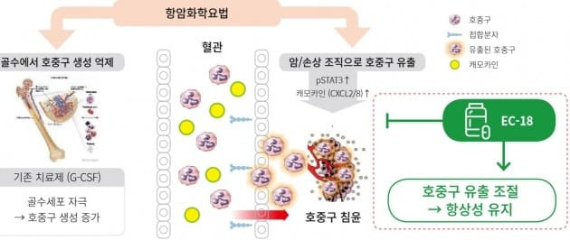 글로벌 8조 시장 잡아라호중구감소증 치료제 시장에 출사표 던진 K바이오