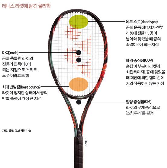 물리학으로 본 정현의 테니스 신드롬