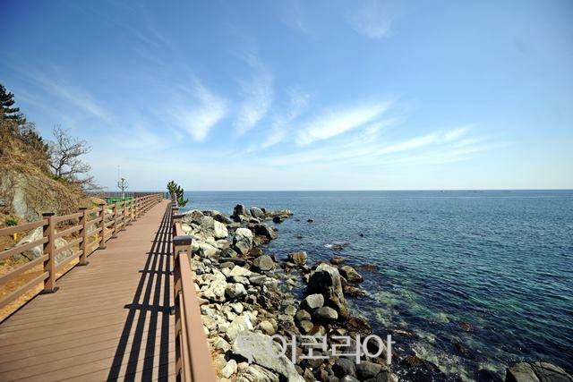 동해안 최고 비경 품은 속초 외옹치 해안산책로 65년만에 개방