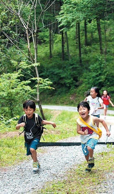 1년에 이틀 연다 남양주 광릉 숲