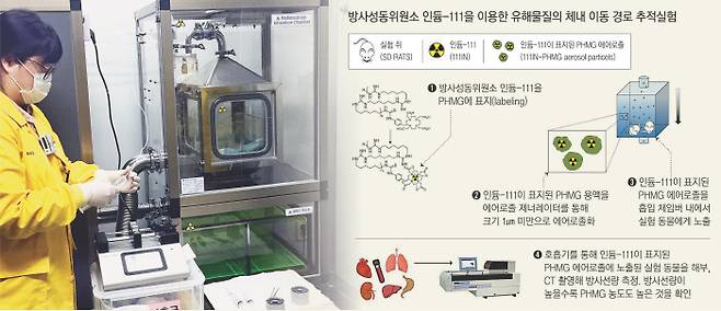 방사성동위원소 표지로 유해물질 체내 이동 추적 가능해졌다