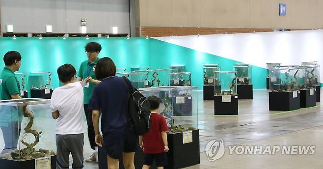 세계곤충박람회