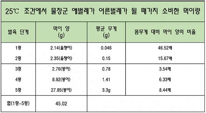 이강운의 곤충記 살려면 먹어야 한다 물장군의 동종포식