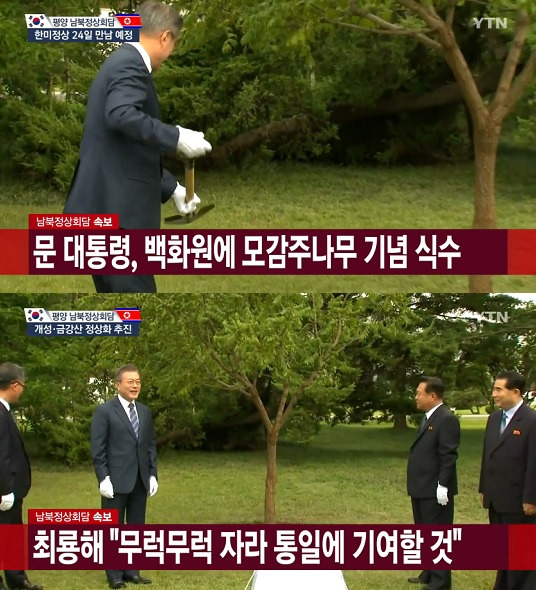 문재인 대통령 평양 백화원에 모감주나무 기념 식수번영을 상징