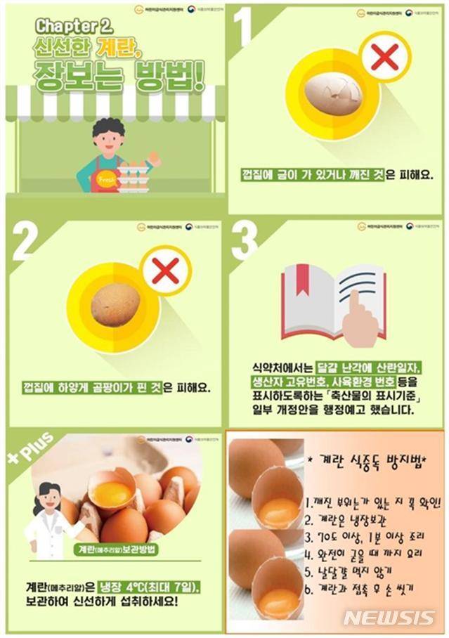춘천소식 계란 살모넬라 식중독 예방 활동 실시 등