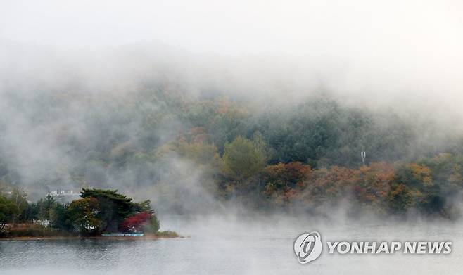 단풍 시샘하는 물안개
