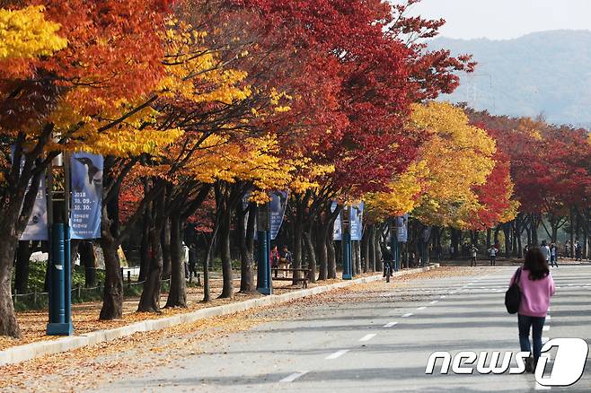 인천대공원 단풍 낙엽 산책길
