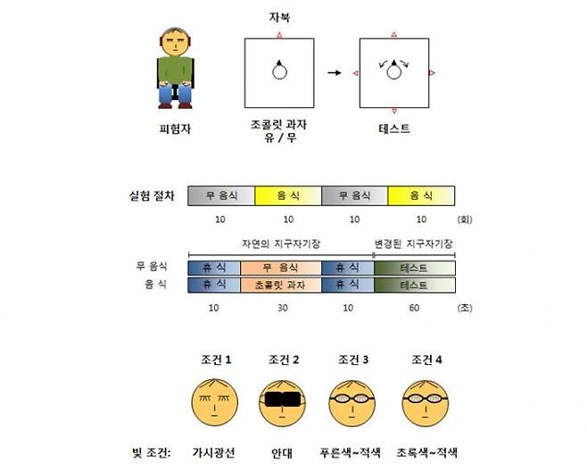 인간도 지구자기장을 느낀다