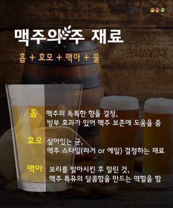 카드뉴스 에일 라거 맥주 용어 알고 마시면 더 맛있어