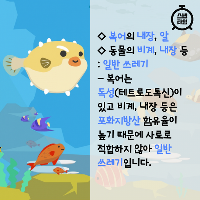 카드뉴스 바나나 껍질은 음식물 쓰레기 일반 쓰레기