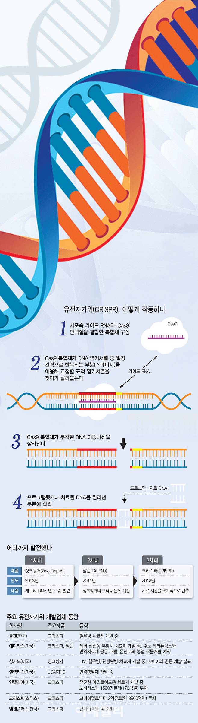 미래기술25 ①유전자 가위난치병치료부터 품종 개량까지