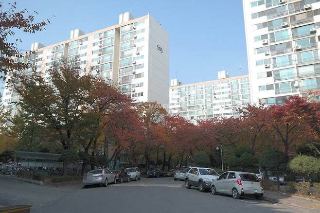 단독 강동 삼익그린맨션2차 한달새 25하락 알고 보니 증여거래