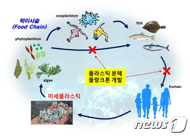 페트병 분해 식물성 플랑크톤으로 해법 찾았다