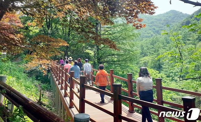 증평 좌구산 휴양림 단풍나무 숲길 일부개통