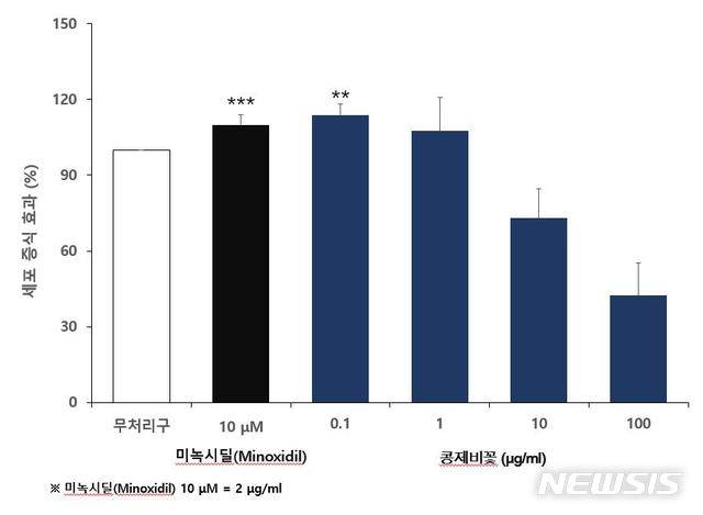 탈모 걱정 사라지나콩제비꽃 추출물서 탈모 억제 효과