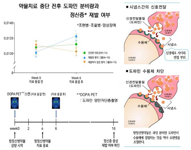 조현병·조울병 약물치료 중단 여부 도파민에 물어봐