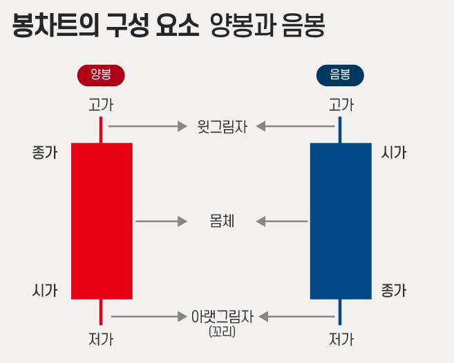 매일 보는 음봉 양봉 차트 제대로 알자 5화