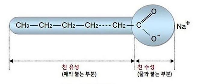 전염병으로부터 인류 구원한 화학기술비누 우리가 몰랐던 과학 이야기 191