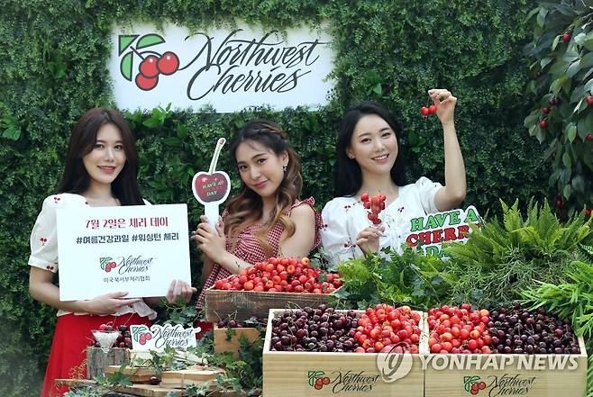 여름 제철 과일 워싱턴체리 시즌 시작