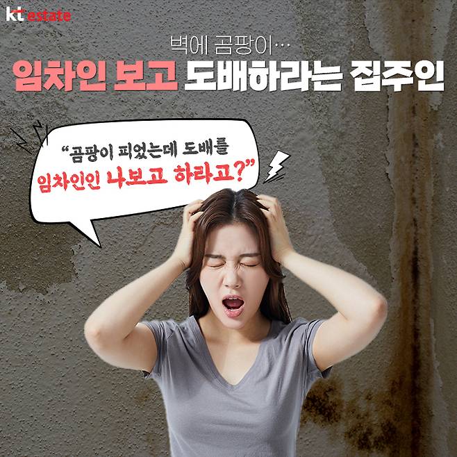 주택 임대 시 도배 장판은 누가 해야 하나 Kt 에스테이트