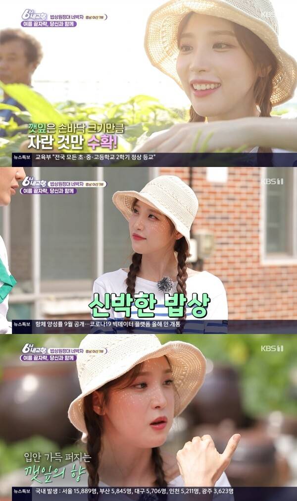 6시 내고향 화연 깻잎 밭의 리액션 요정긍정 에너지 무한 발산