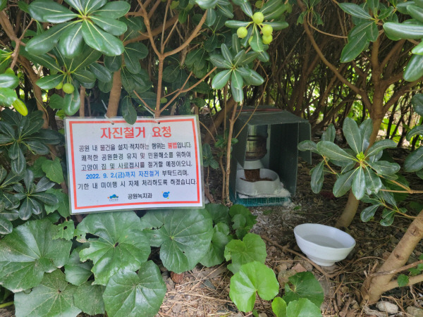 급식소 두고 부산시 남구의 다른 길고양이 정책