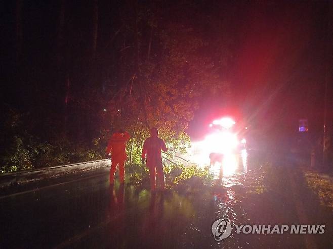 힌남노 자정 제주 최근접 통과오늘 오전 5~6시 경남해안 상륙종합