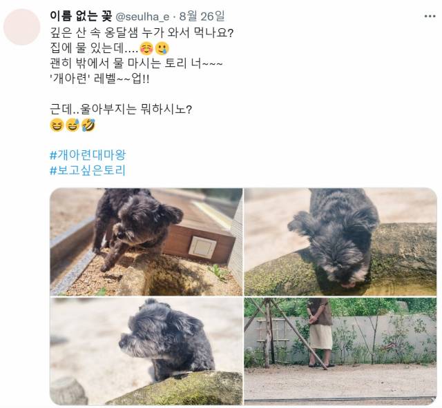 文 수박 써는 사진 올린 다혜씨명절 아빠 일 시키기