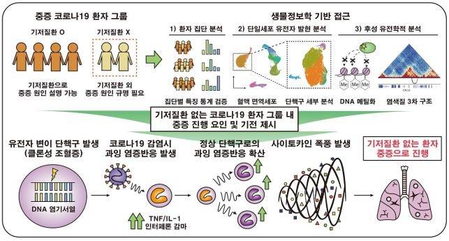 기저 질환 없는 코로나19 중증환자 후천적 유전자변이 발견