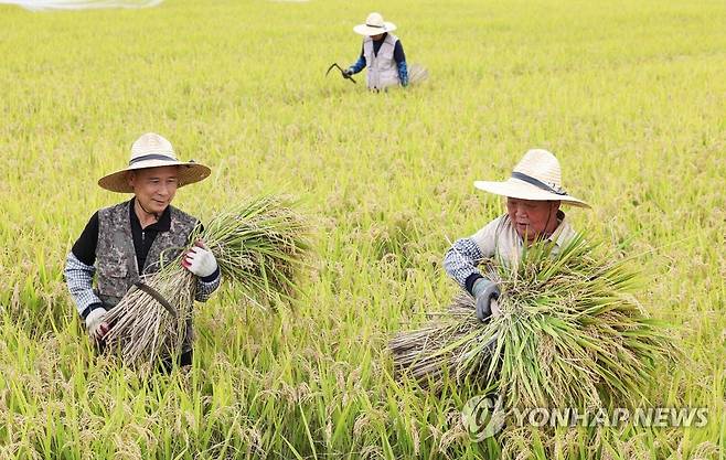 사라지는 마을 농촌다움 회복농촌공간계획법 만든다