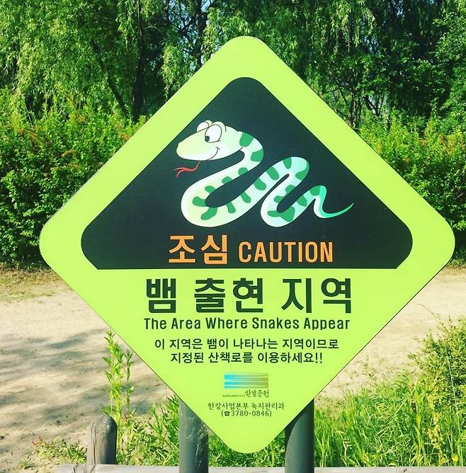 몰티즈 앞다리 괴사한강공원 독사 출현 견주들 비상