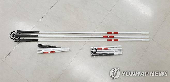 제43회 흰 지팡이의 날서울 시각장애인 재활복지대회