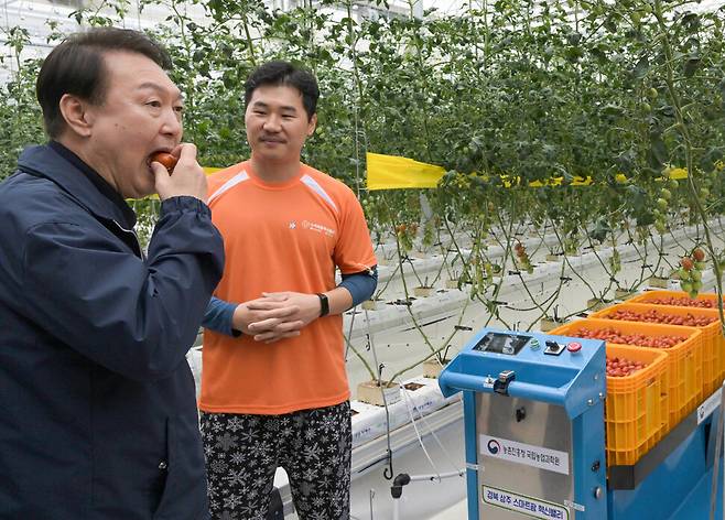 포토 스마트팜 찾은 윤 대통령 방울토마토 시식