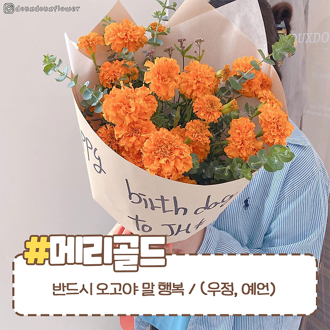 사랑하는 사람에게 선물하기 좋은 꽃말 좋은 꽃다발 모음집 💐 남녀생활백서