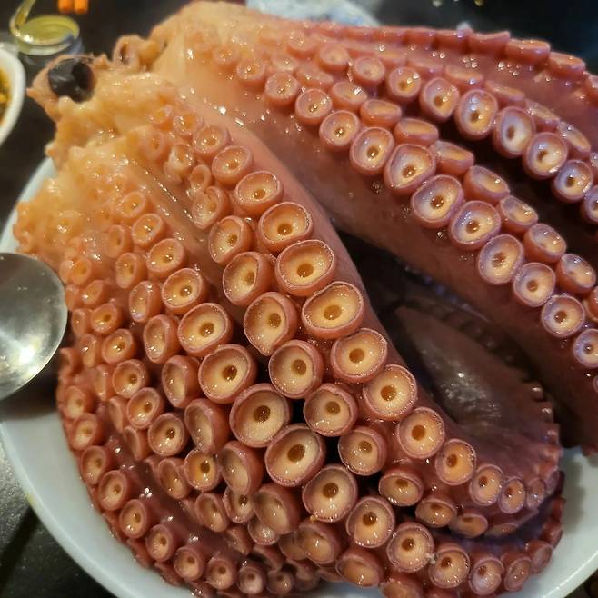 님아 그 시장을 가오 백종원 물개박수 치게 만든 삼척 문어집 식신
