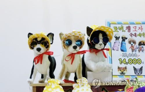 사이테크 고양이 주인 목소리와 말투까지 구분할 수 있다