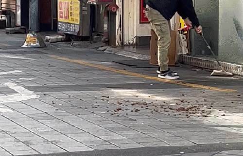 부산 거리에 바퀴벌레 떼 쏟아져 나와 ‘기겁무슨일
