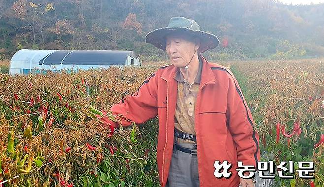 불량종자 피해구제 사실상 힘들어 분쟁조정 정부가 나서야”