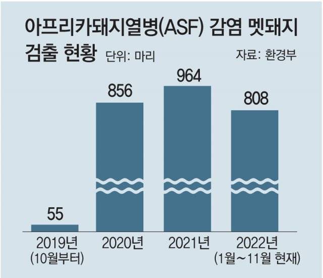 아프리카돼지열병 차단에 한계 年 40억 ‘멧돼지 울타리 존치해야 할까