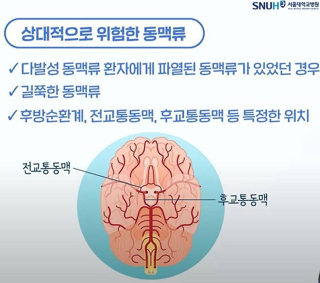 머릿속 시한폭탄 ‘뇌동맥류 증상과 치료법은 무엇